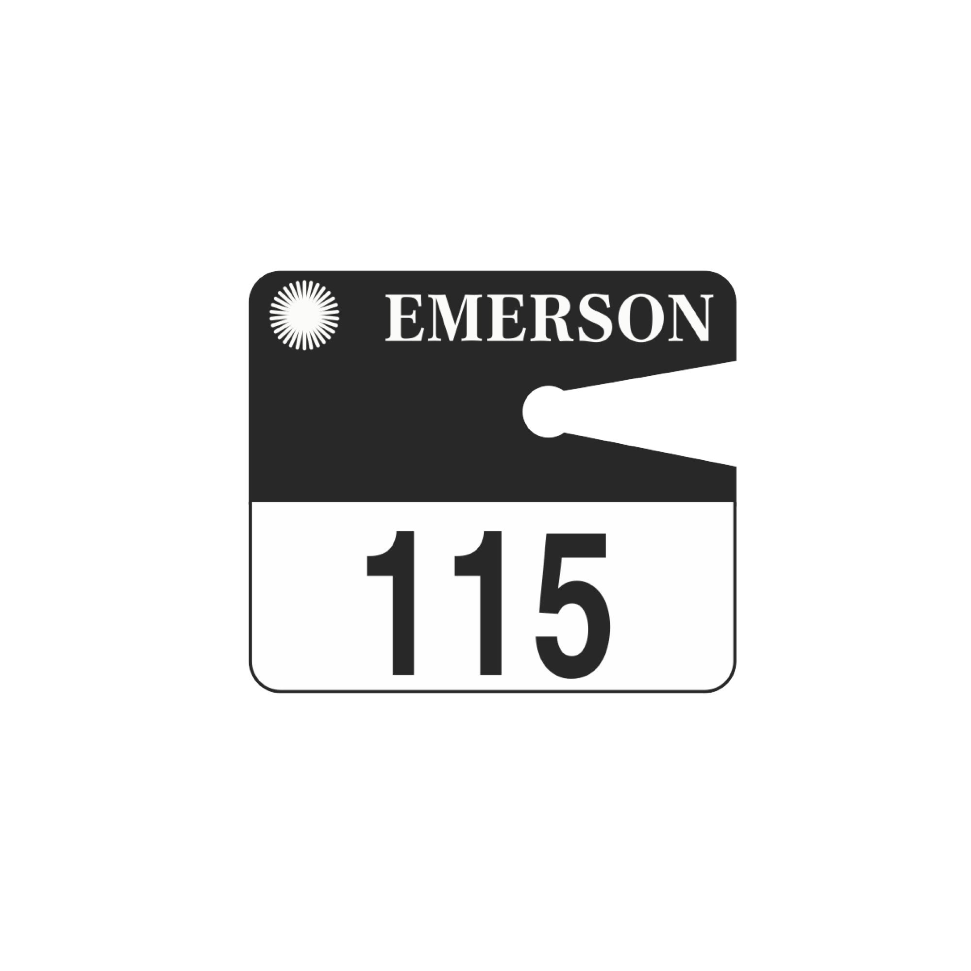 Custom Small Rearview Mirror Tags 3 1/2 x 4 | Carlton Industries