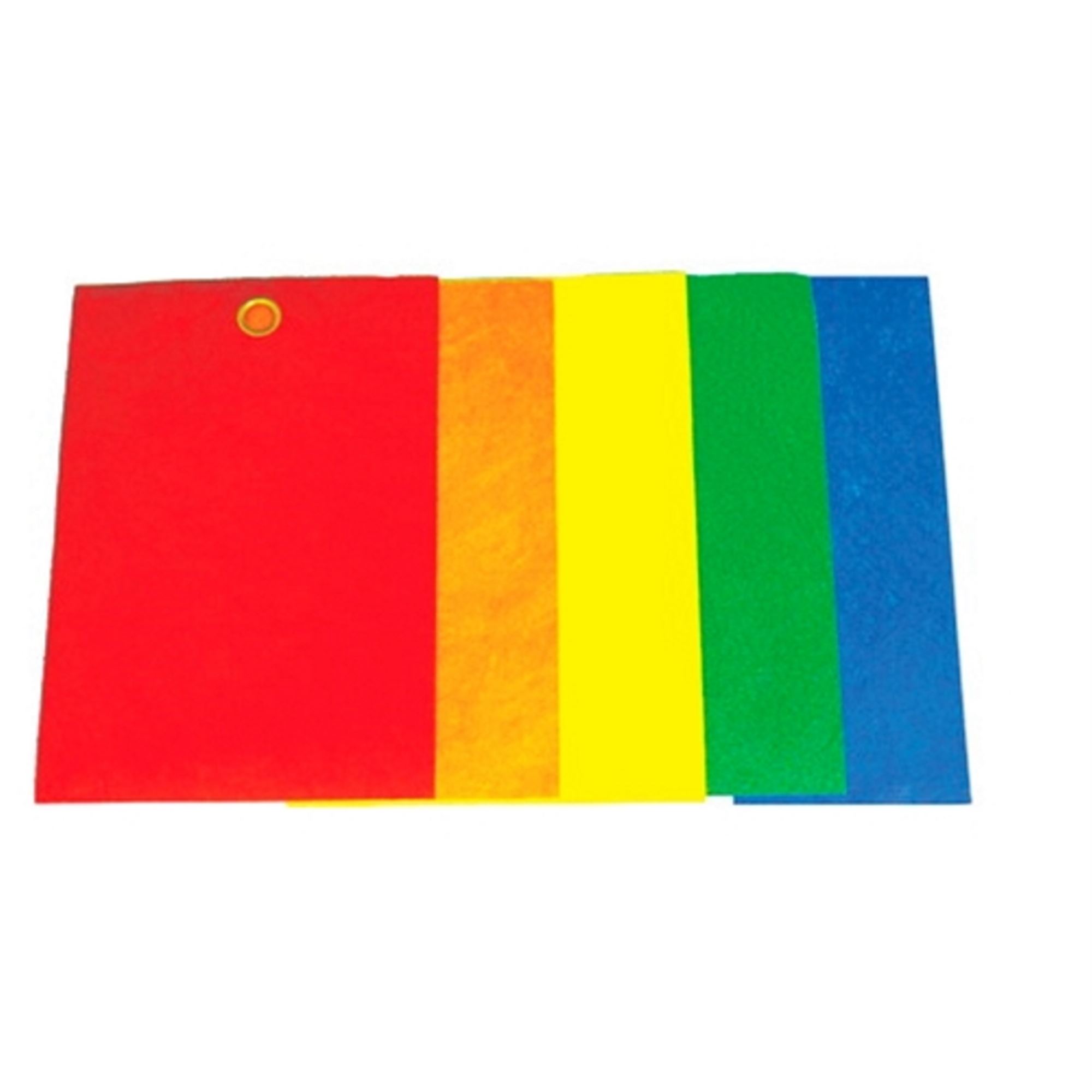 Blank Tyvek Tags 3 1/8 x 6 1/4 | Carlton Industries