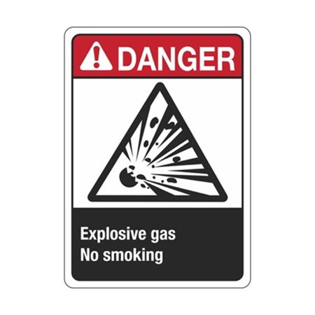 Danger Explosive Gas No Smoking Sign | Carlton Industries